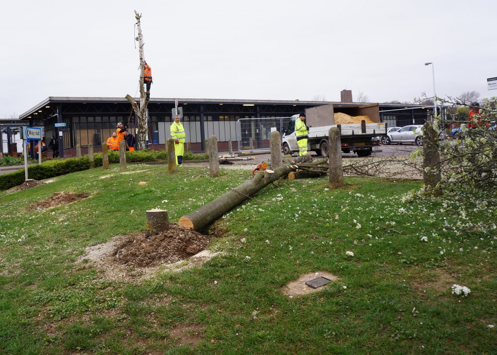 Guildford Dragon NEWS