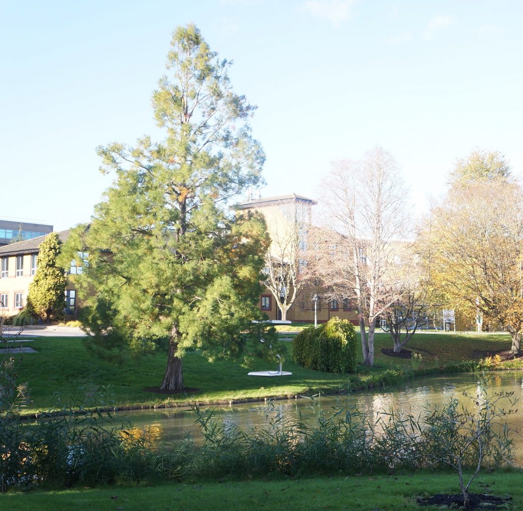 Guildford Dragon NEWS