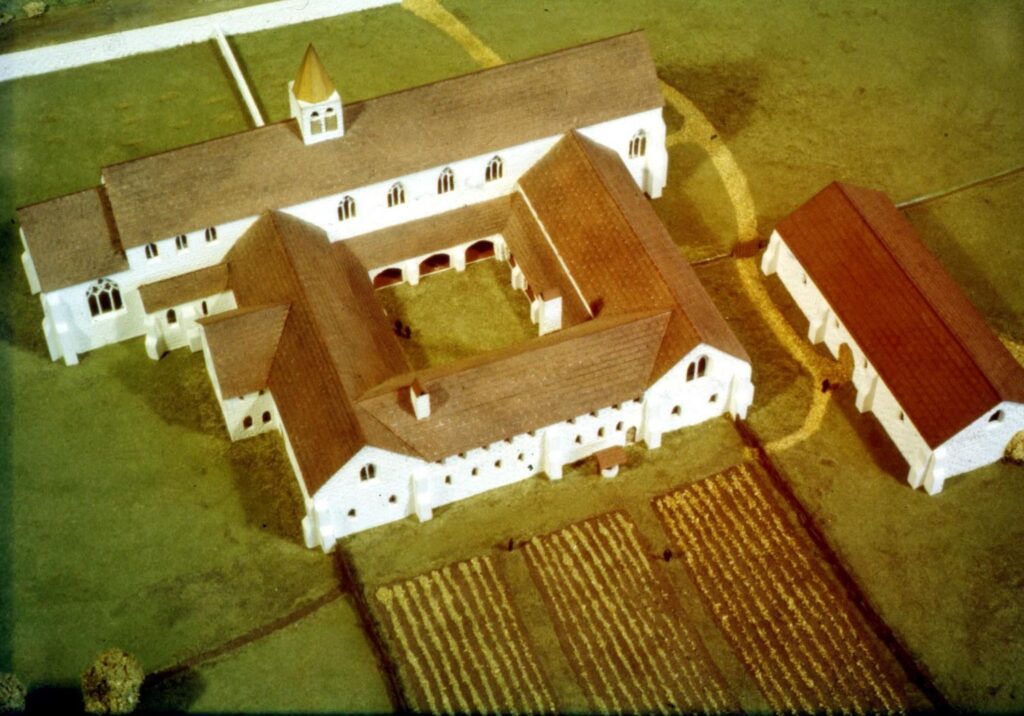 Guildford Dragon NEWS