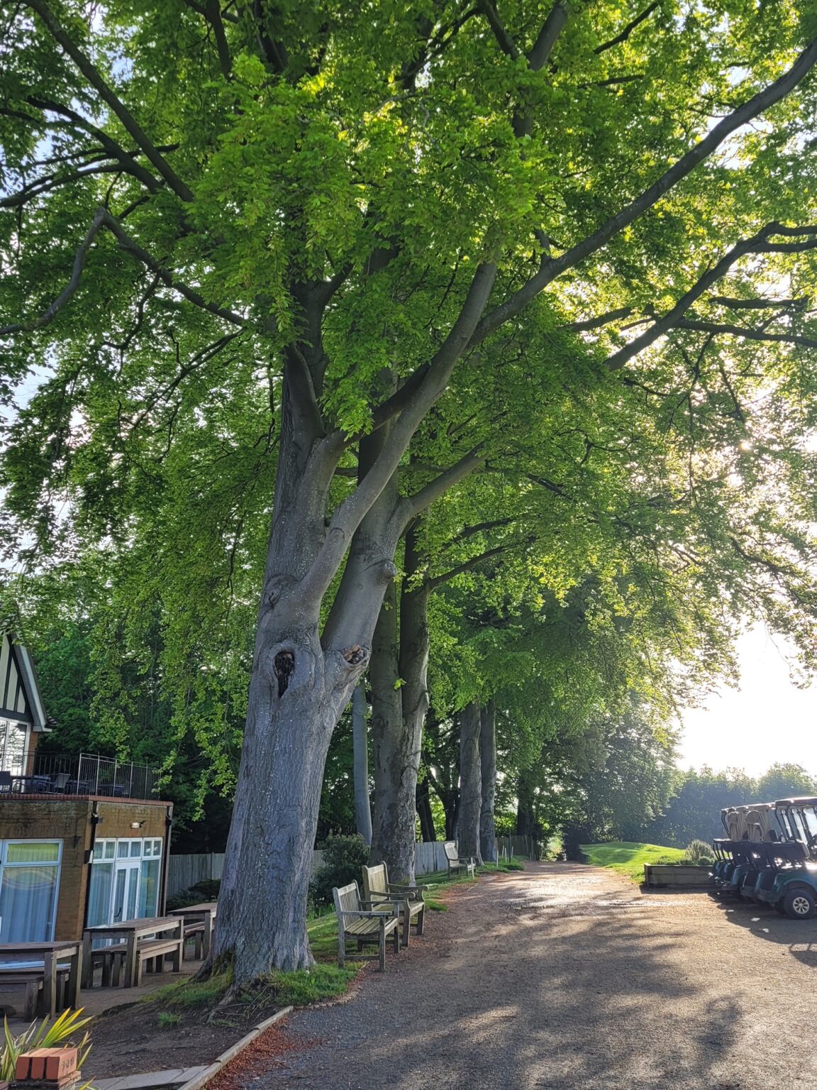 Guildford Dragon NEWS