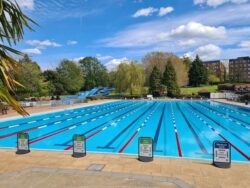 Guildford Dragon NEWS