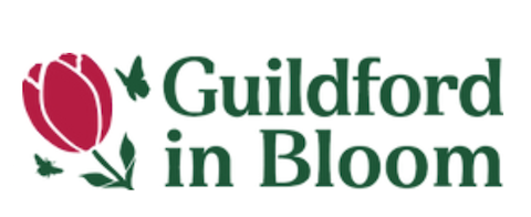 Guildford Dragon NEWS