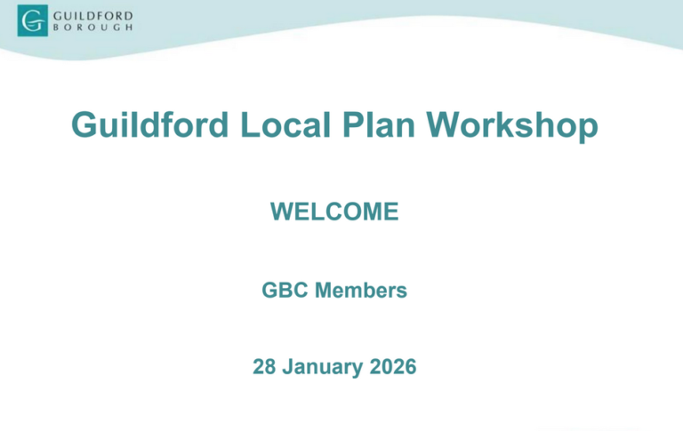 Guildford Dragon NEWS